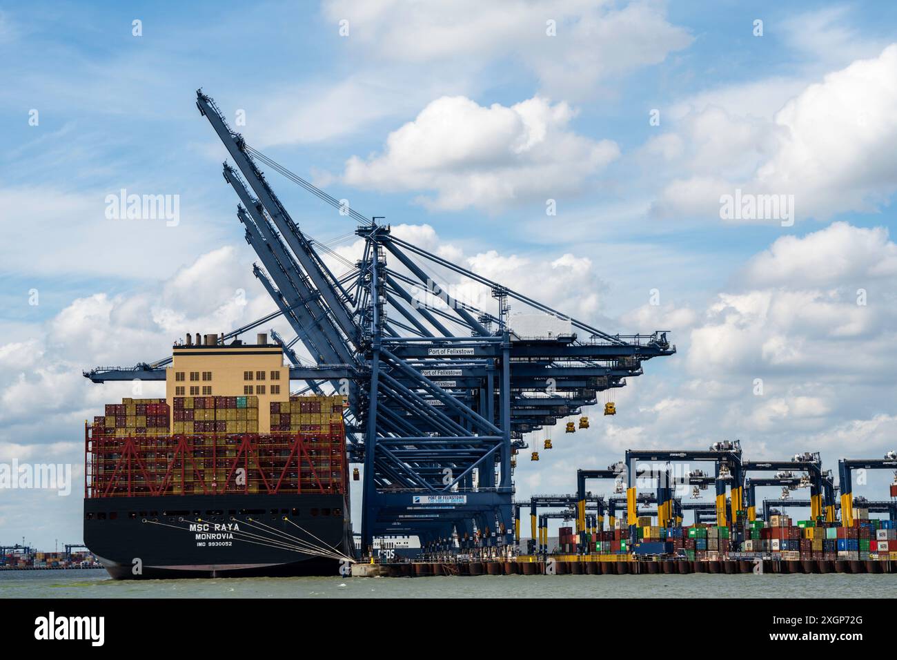 MSC Raya container ship port of Felixstowe Suffolk Stock Photo - Alamy