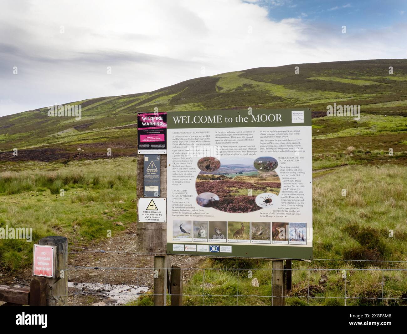 Environmental damage caused by muir burn by the grouse shooting ...