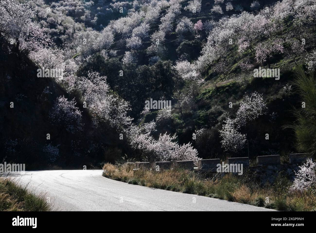 Lane with slope hi-res stock photography and images - Alamy