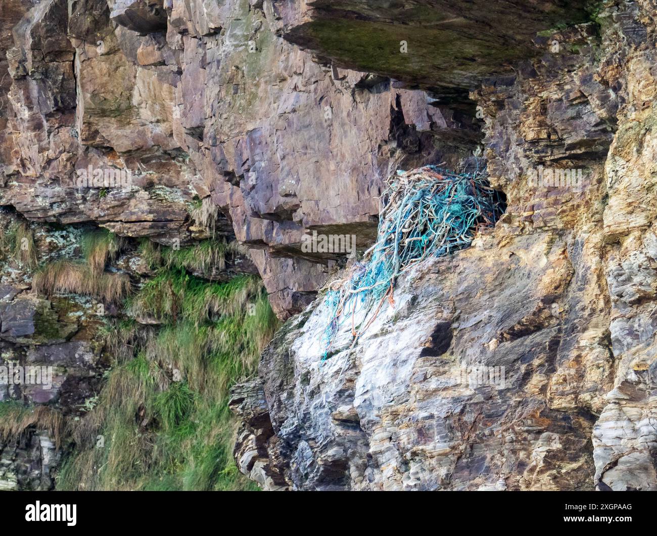 Raven nest cliff hi-res stock photography and images - Alamy