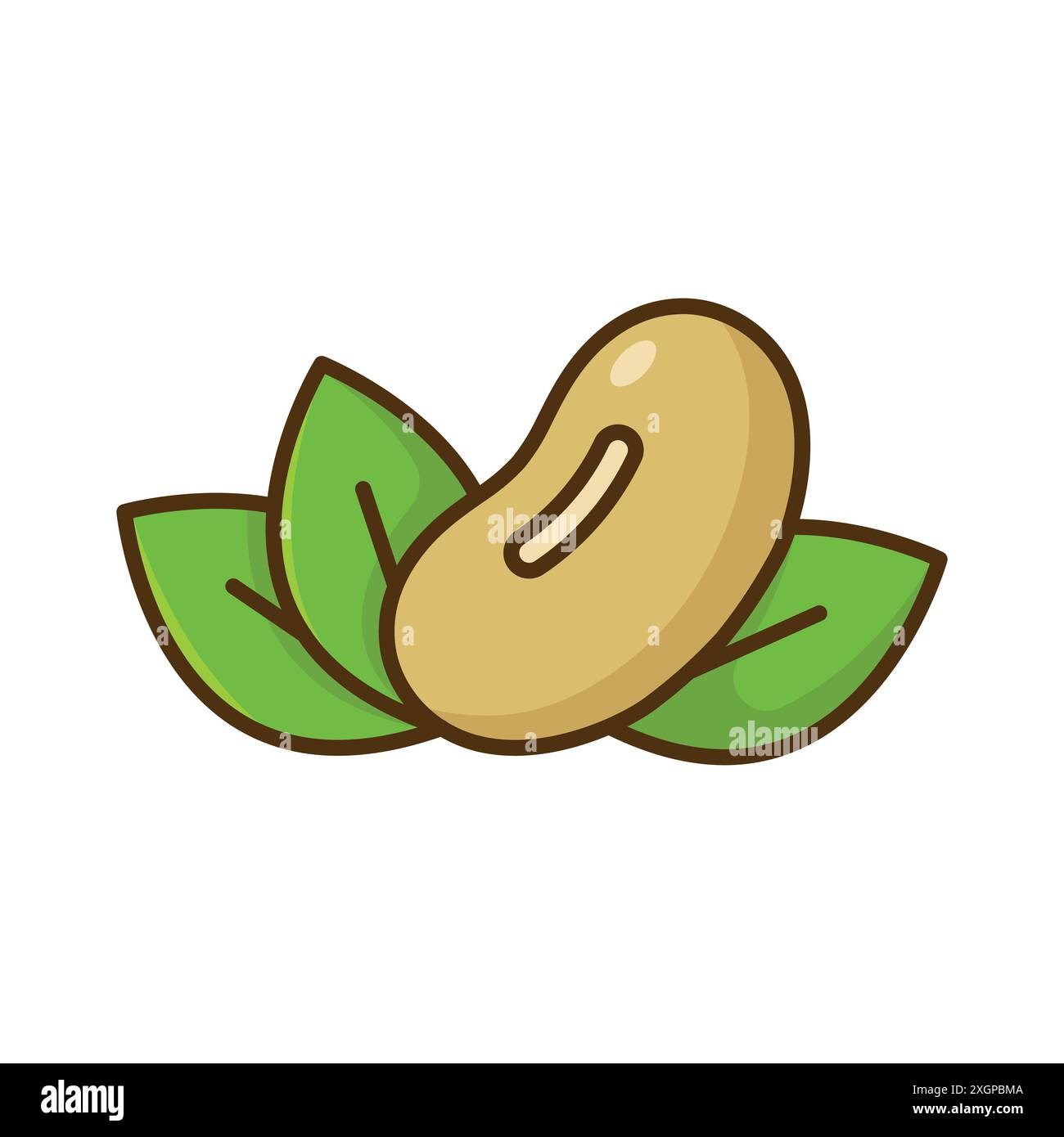 soybean icon vector design template in white background Stock Vector ...
