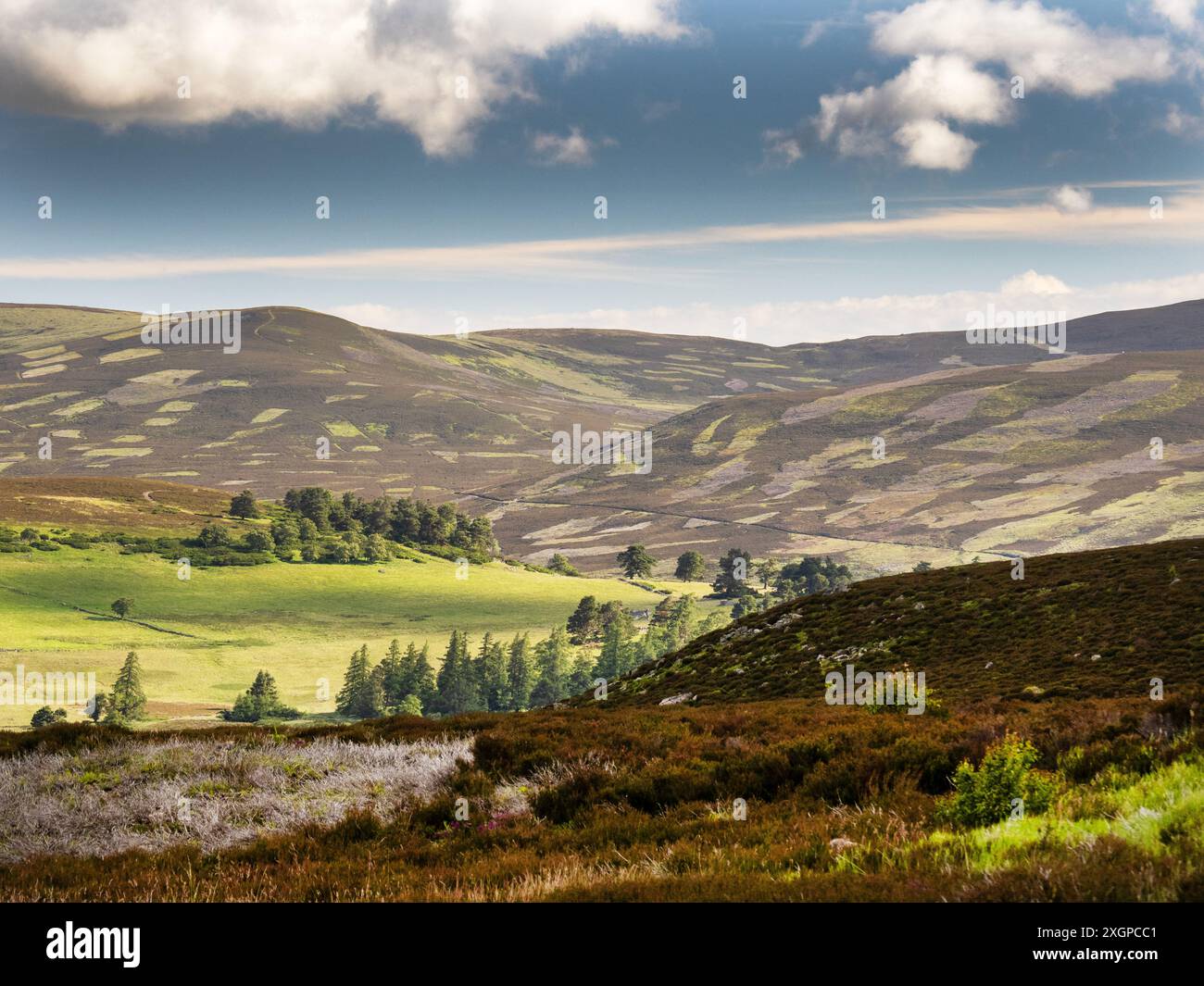 Environmental damage caused by muir burn by the grouse shooting ...