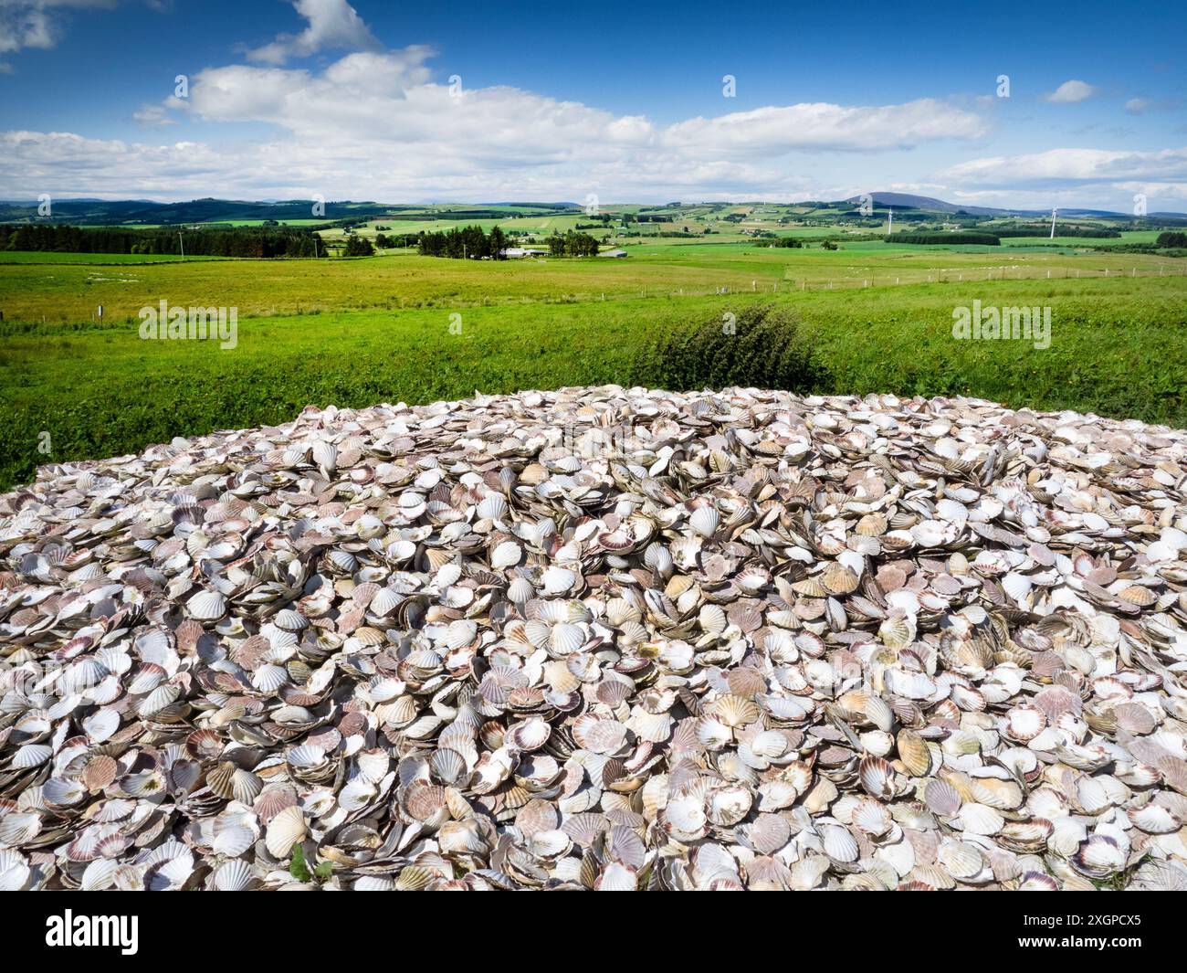 A huge mound of Scallop shells on farmland in Aberdeenshire, Scotland ...