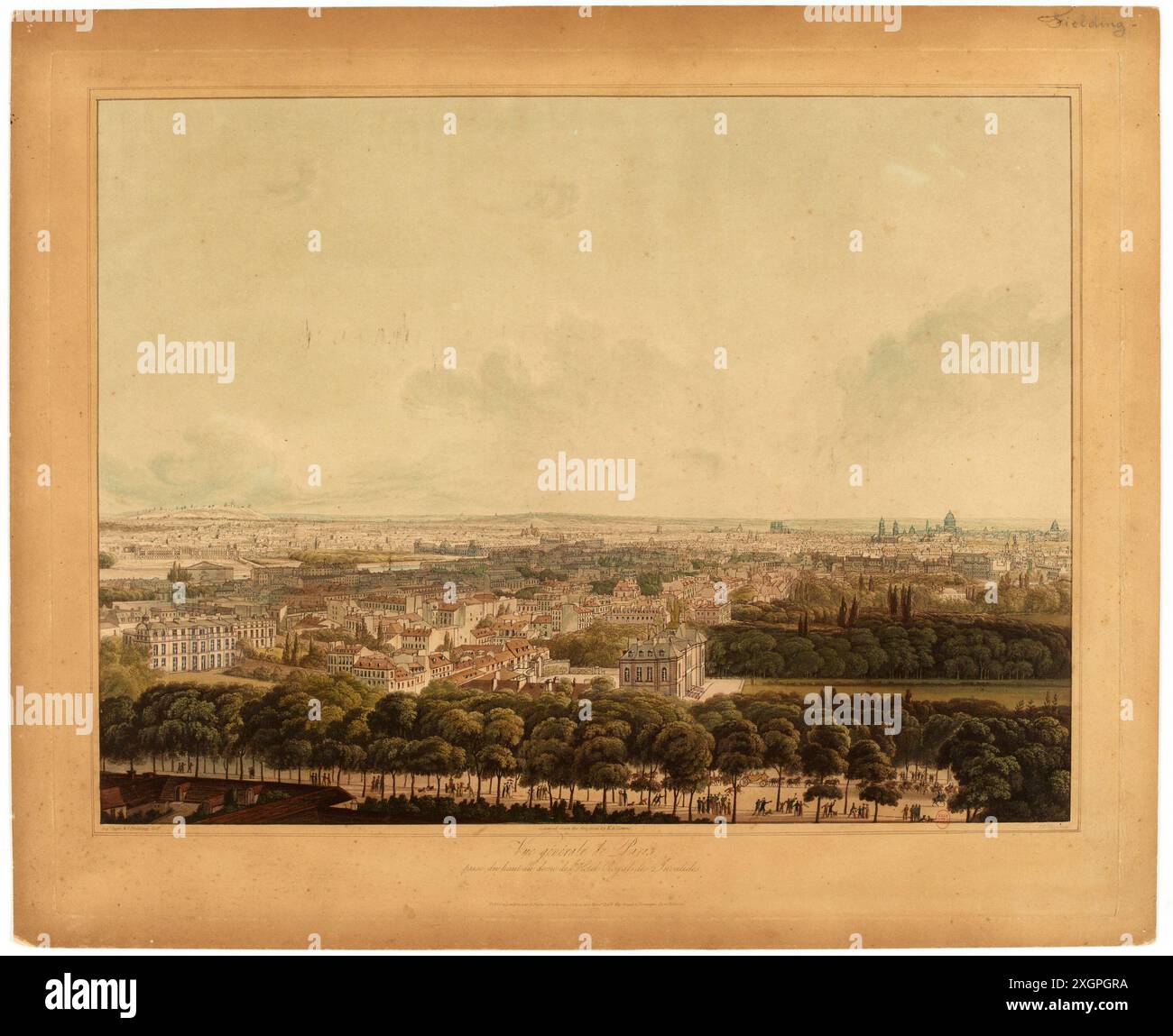 Fielding Cut Out Stock Images & Pictures - Alamy