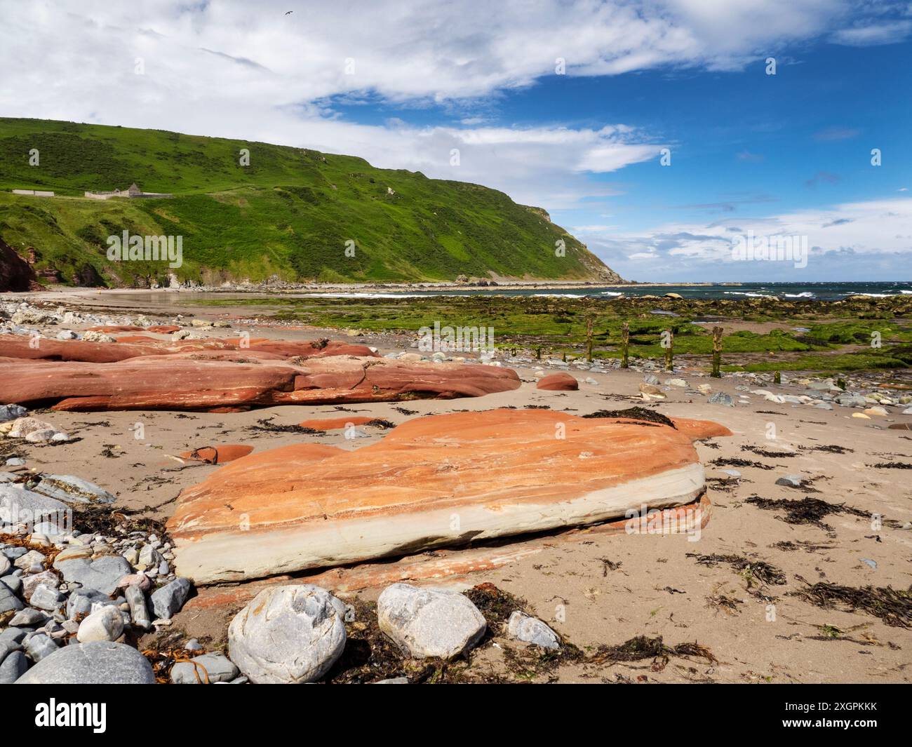 Old Red Sandstone on the shore at Gardenstown in Aberdeenshire ...