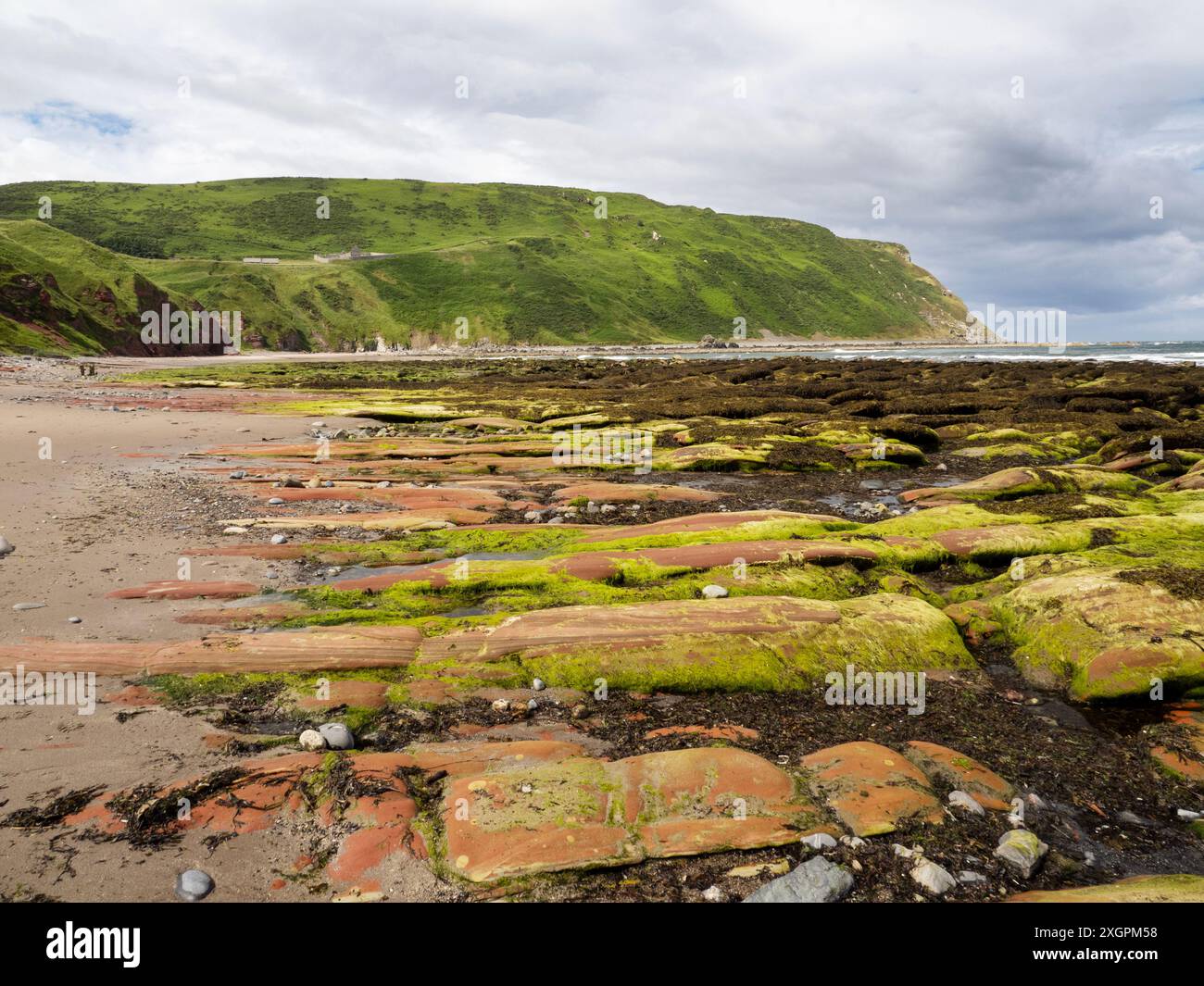 Old Red Sandstone on the shore at Gardenstown in Aberdeenshire ...