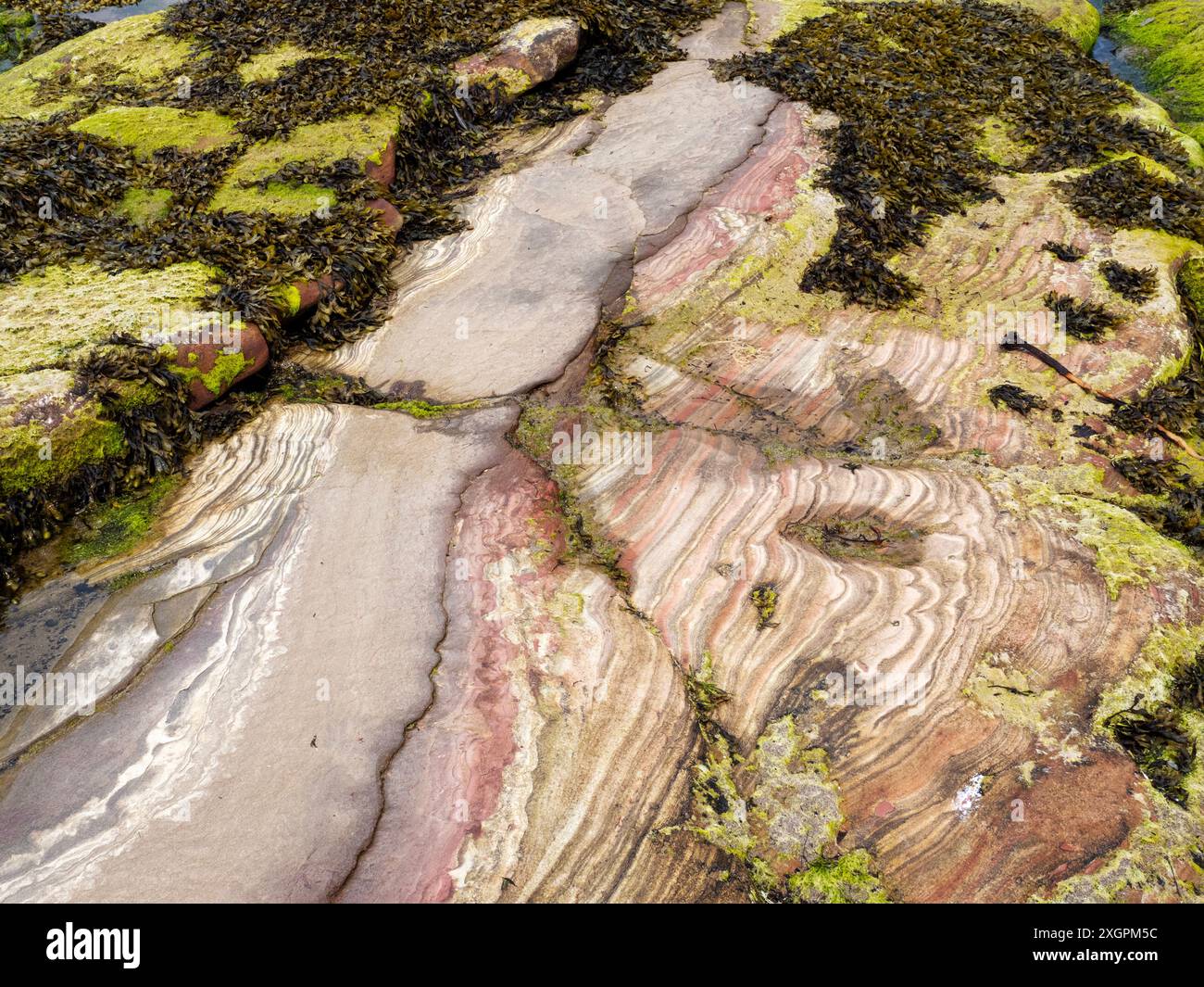 Old Red Sandstone on the shore at Gardenstown in Aberdeenshire ...