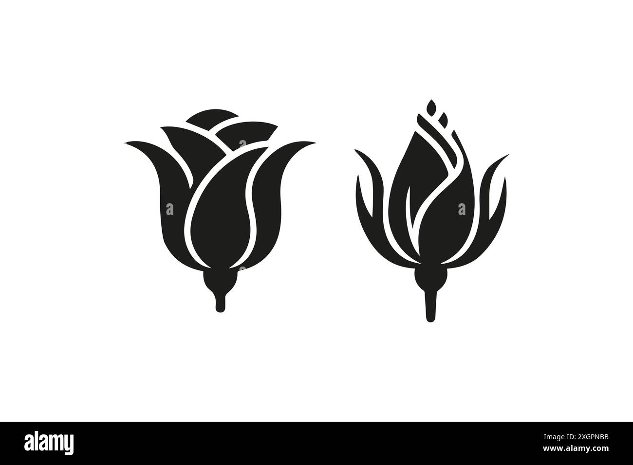 Simple floral illustrations hi-res stock photography and images - Alamy