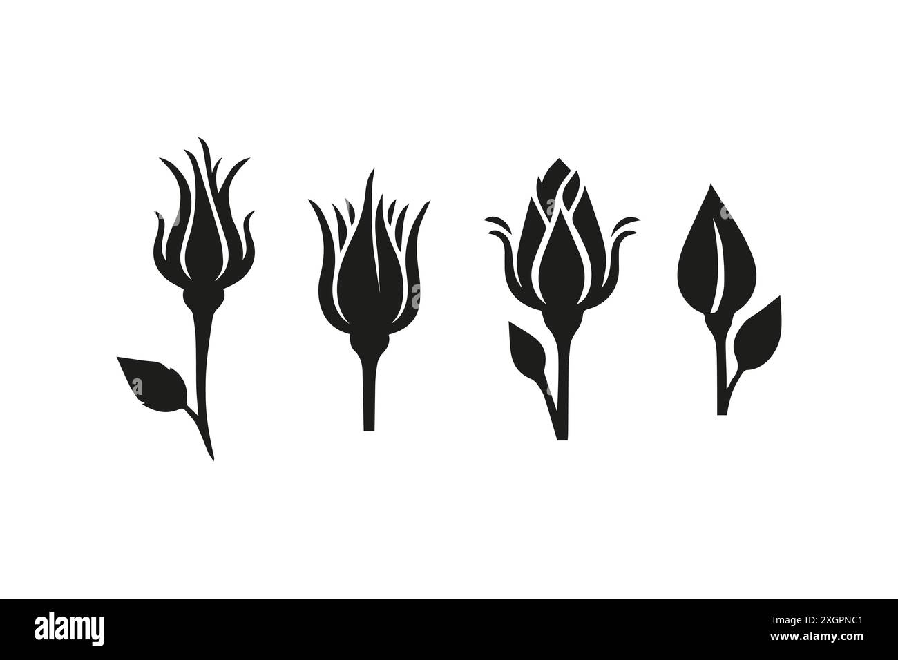 Flower bloom progression hi-res stock photography and images - Alamy