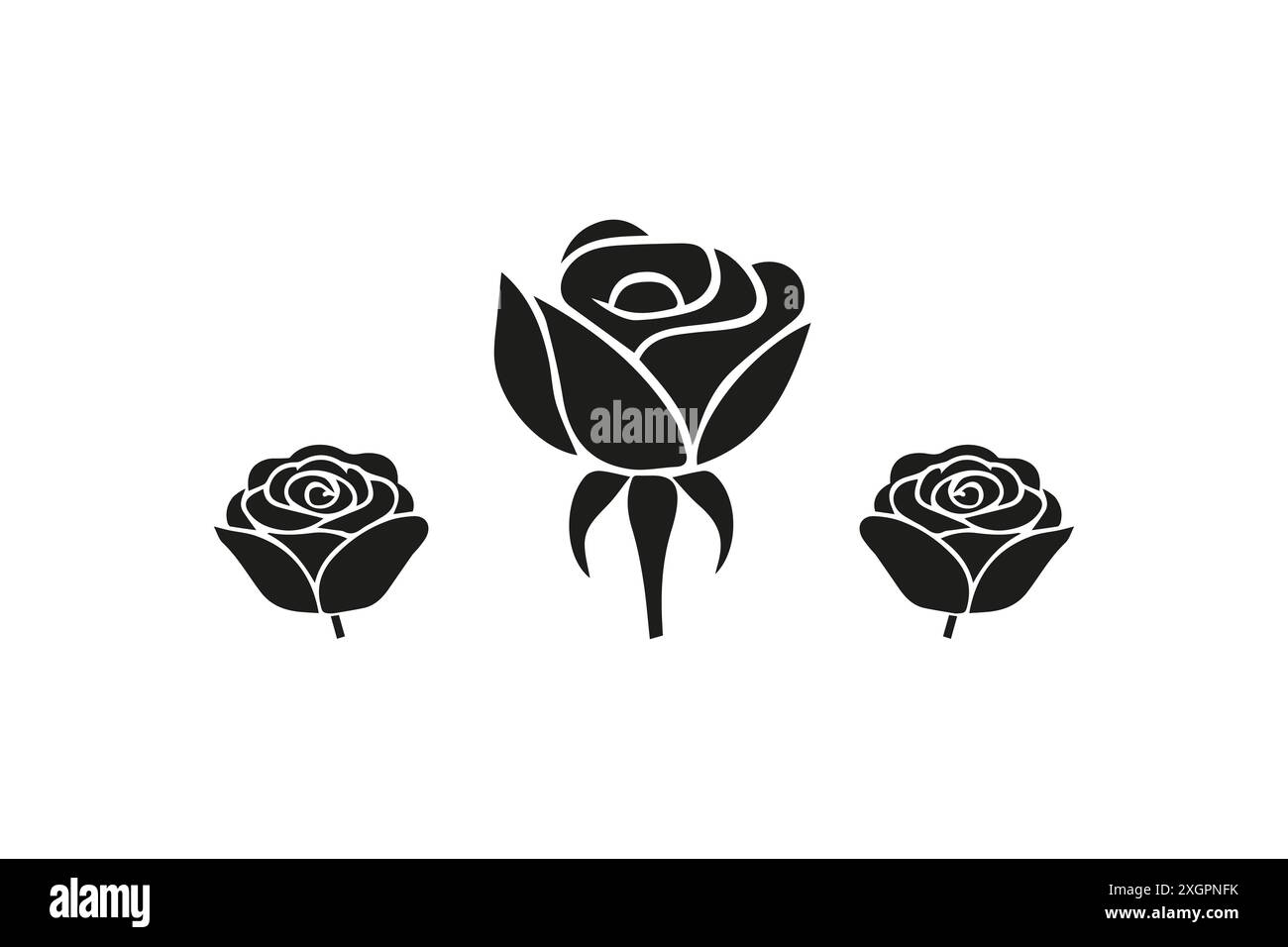 Rose outline Cut Out Stock Images & Pictures - Alamy
