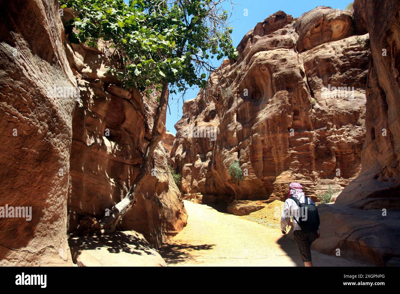 Scenes from the ancient city of Petra, which dates back to the ...