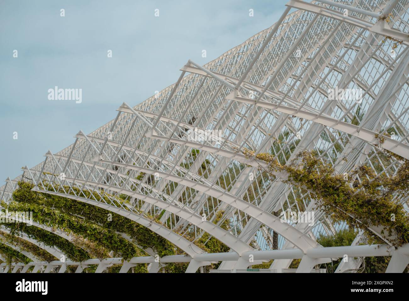 Detailed view of a modern metal lattice structure covered with greenery ...