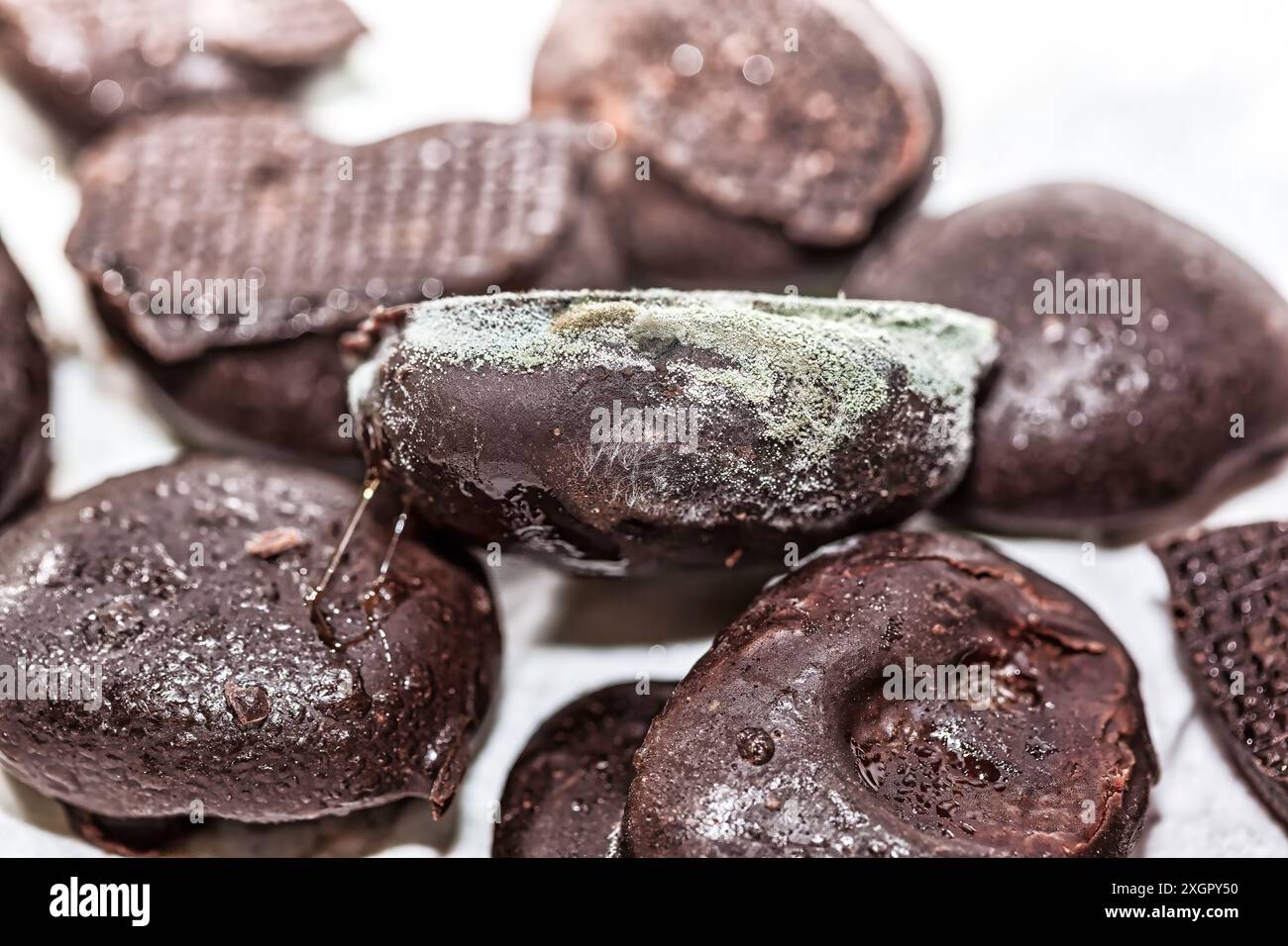 Avoid mold hi-res stock photography and images - Alamy