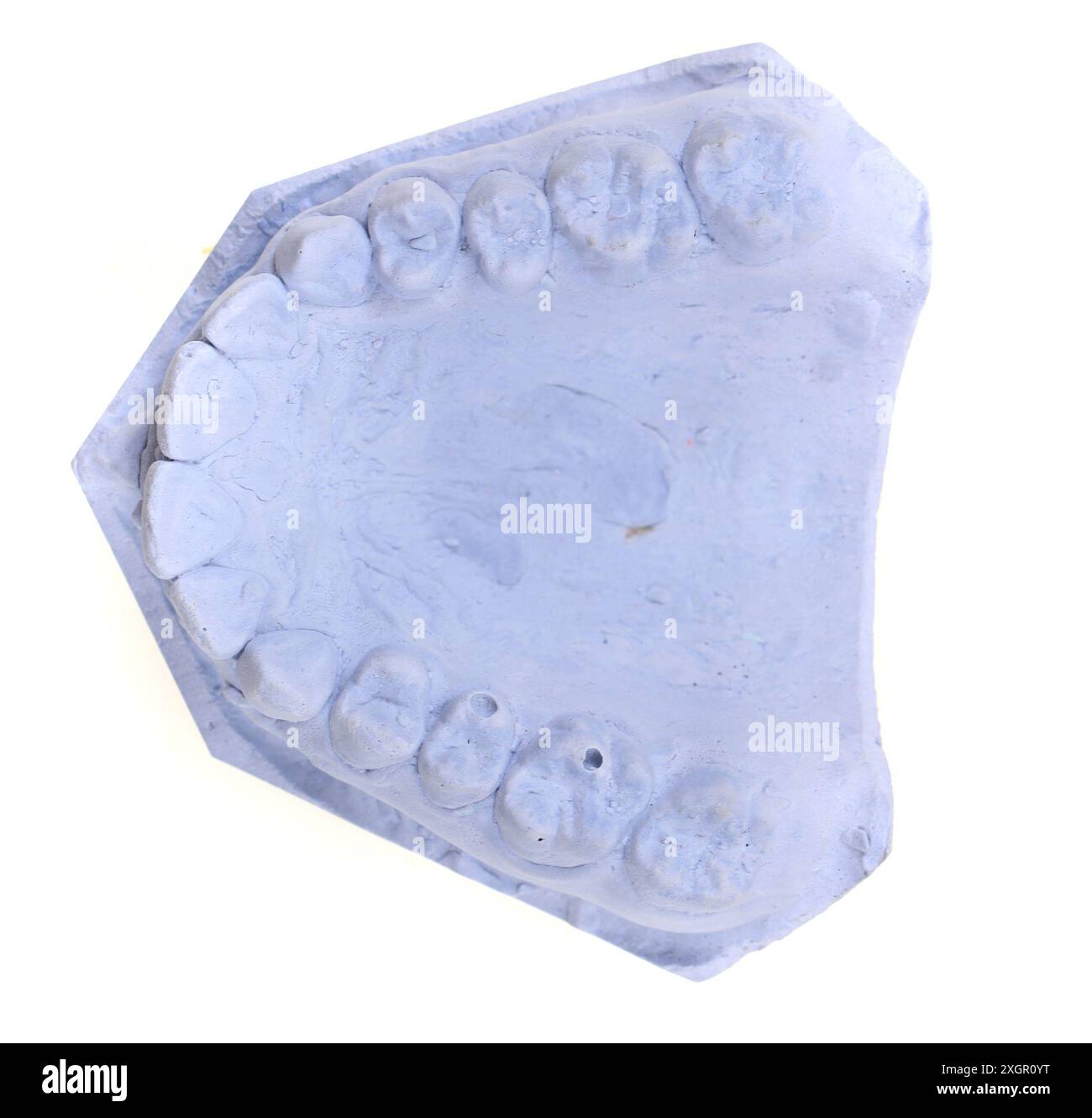 teeth gypsum model isolated on the white background Stock Photo - Alamy