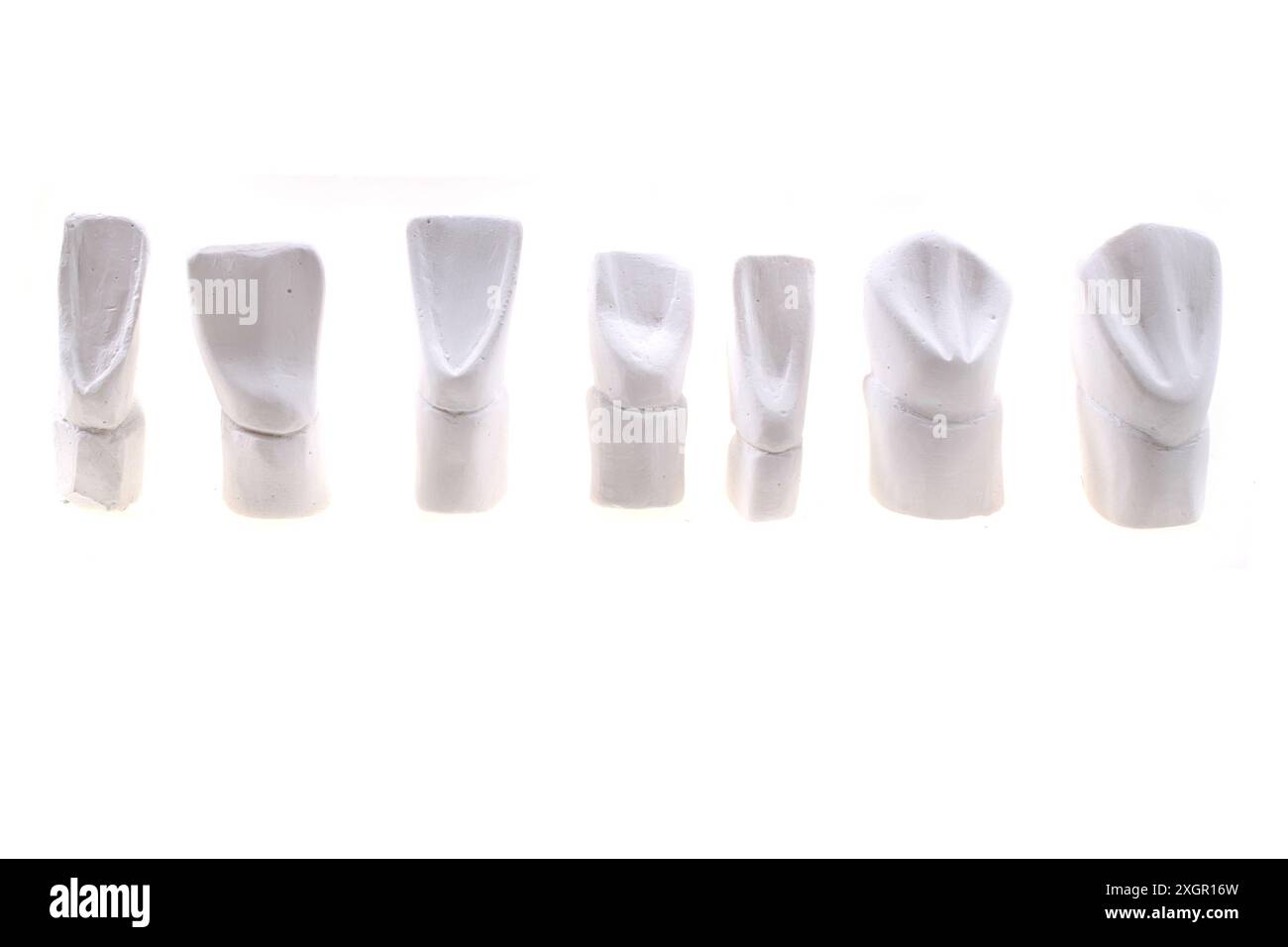 teeth gypsum models isolated on the white background Stock Photo - Alamy