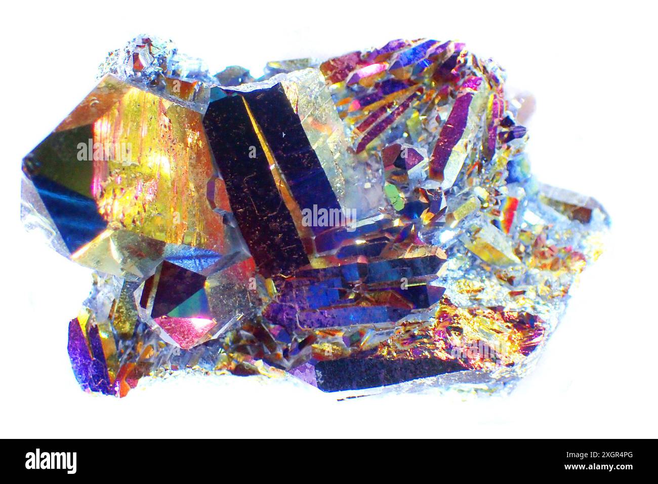 teeth gypsum models isolated on the white background Stock Photo - Alamy