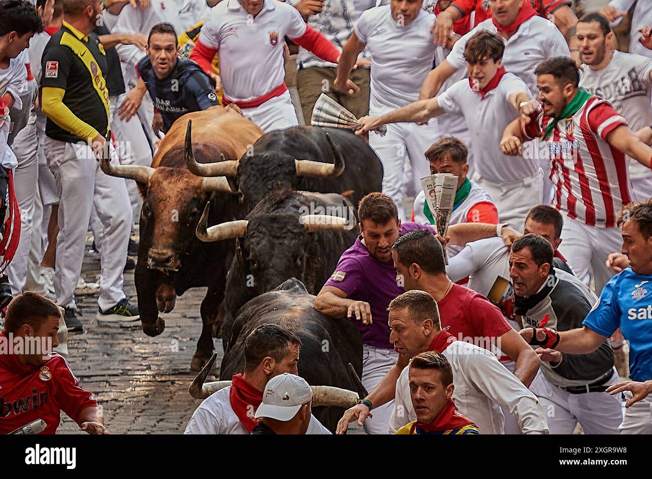 Fuente ymbro cattle ranch hi-res stock photography and images - Alamy
