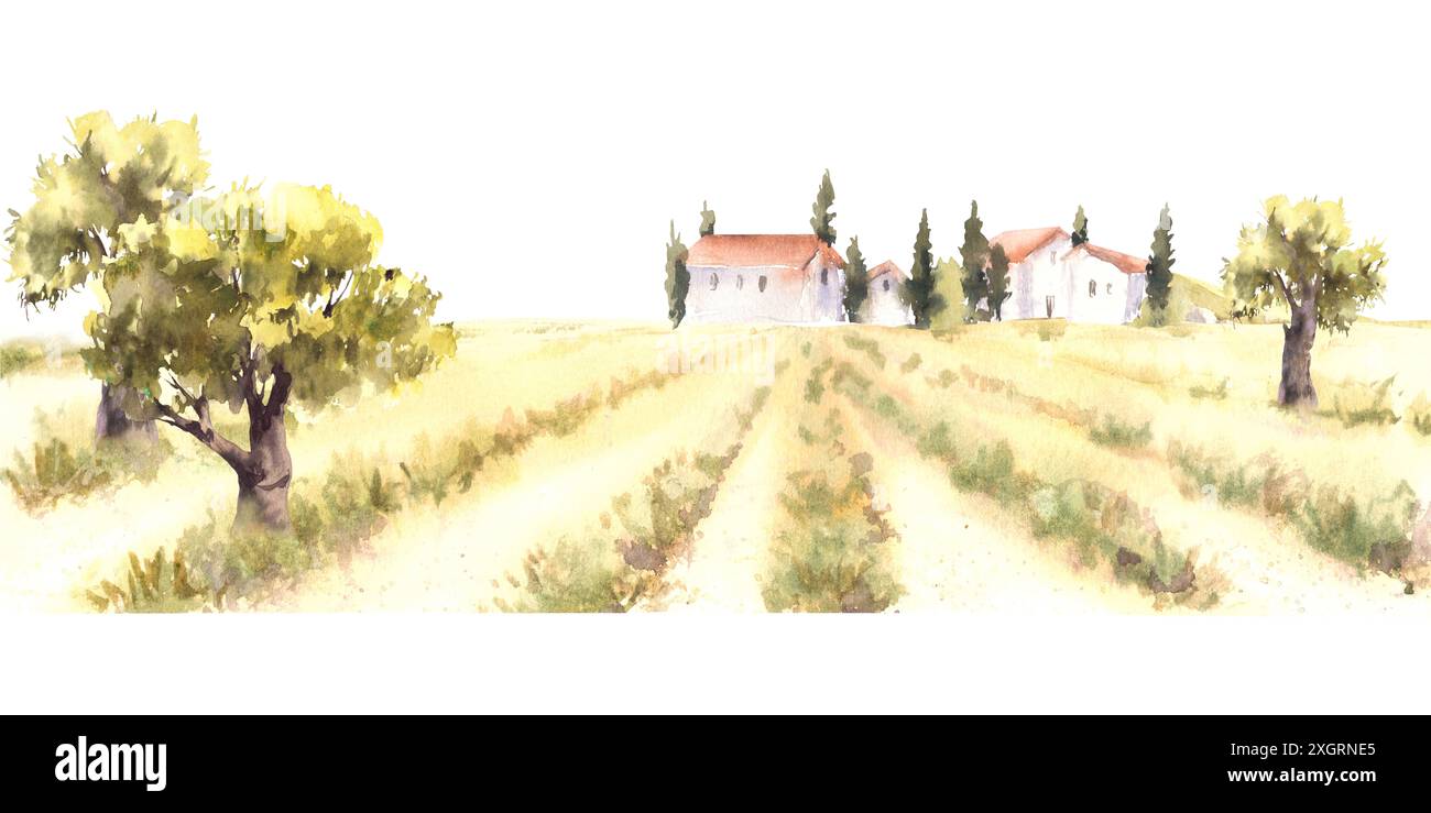 Landscape with field, houses villa, fruit trees, cypresses. Watercolor ...