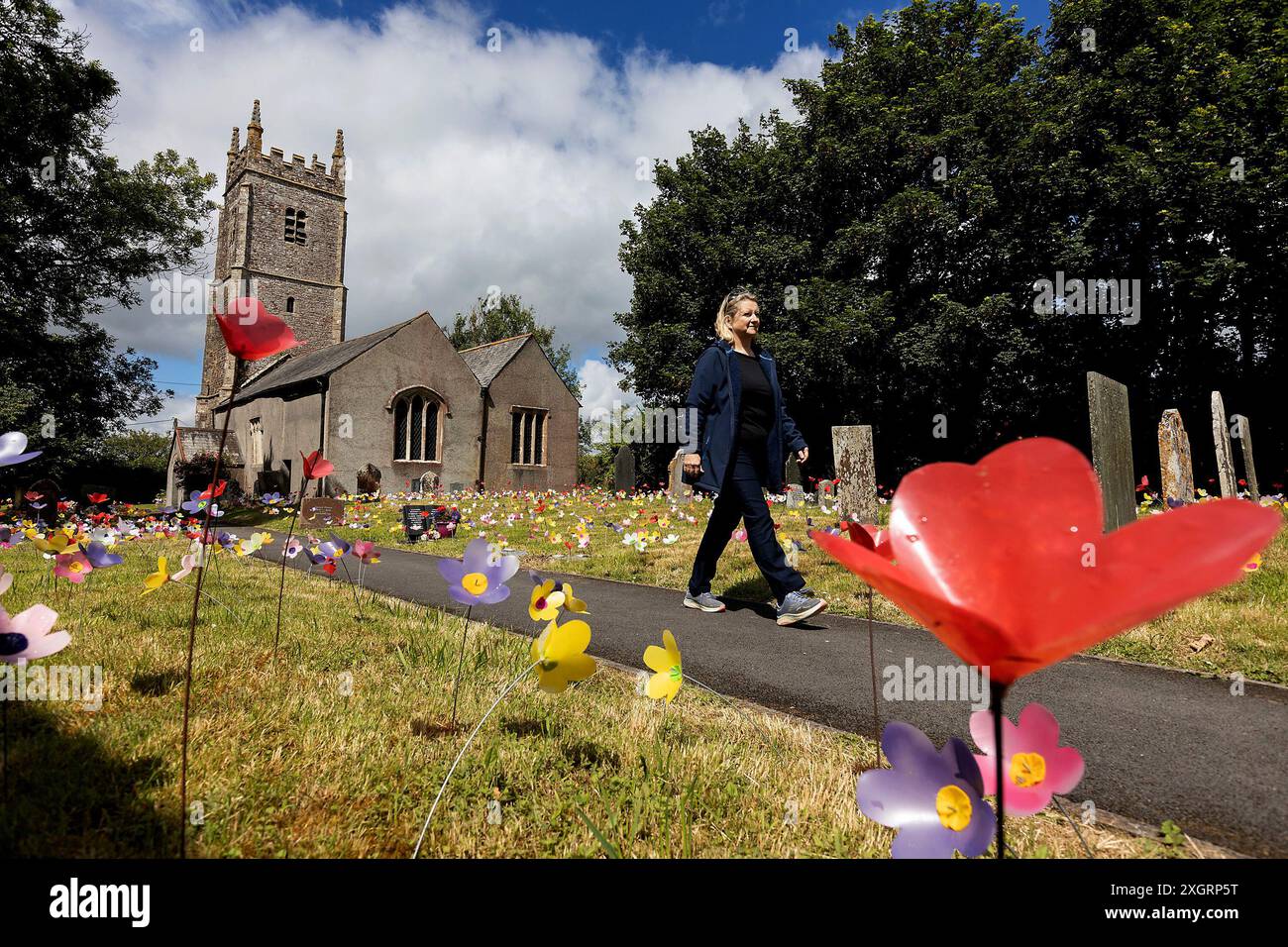 Dowland, UK 10TH Jul 2024. Villagers have created an amazing meadow of ...