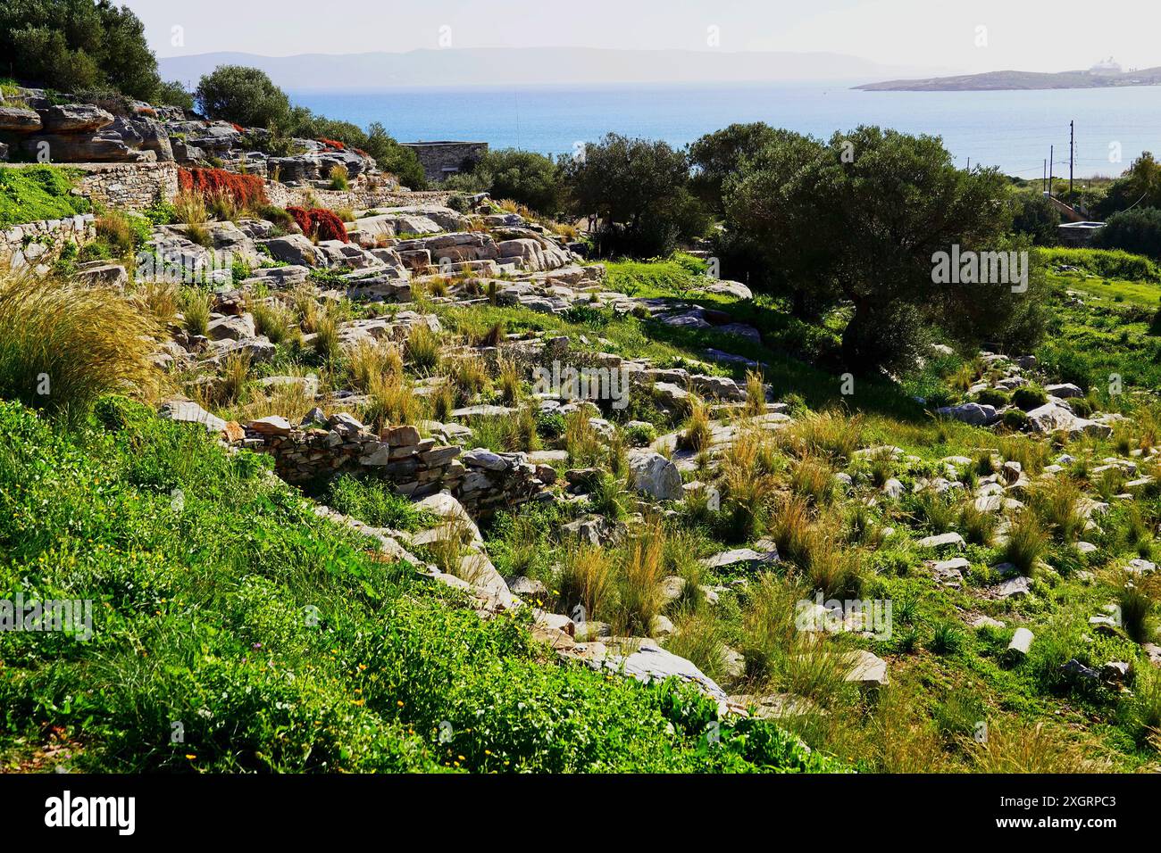 Nature reclaims human structures. Grass and trees covering the ruins of ...