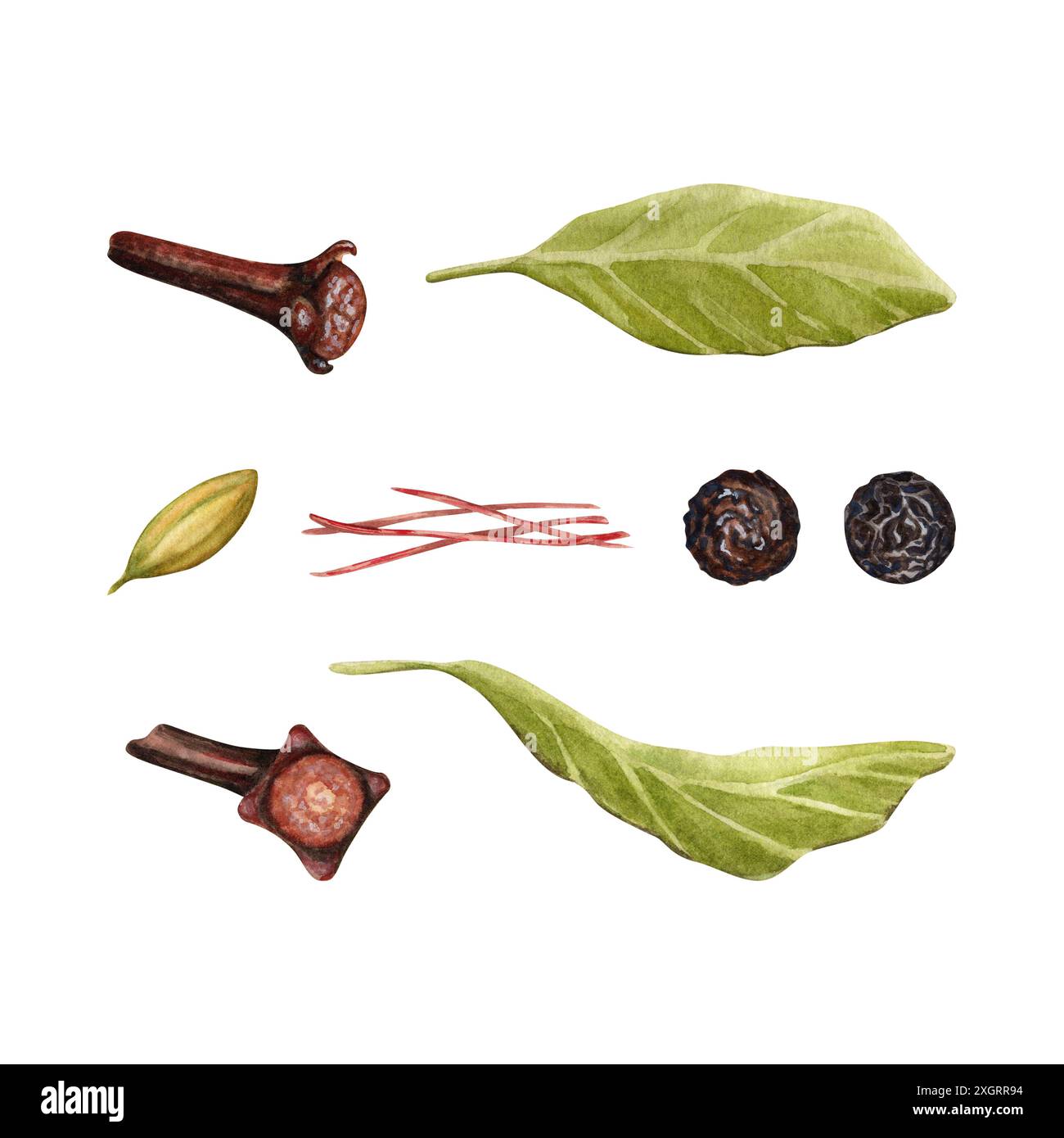 Cooking collection of spices. Aromatic ingredients. Bay leaves, cloves ...