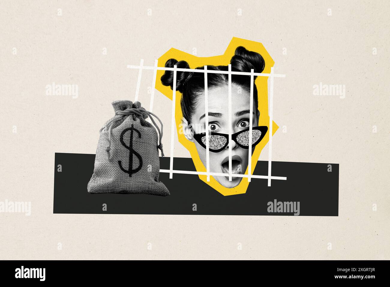 Creative collage picture young woman face shocked wow omg money bag ...