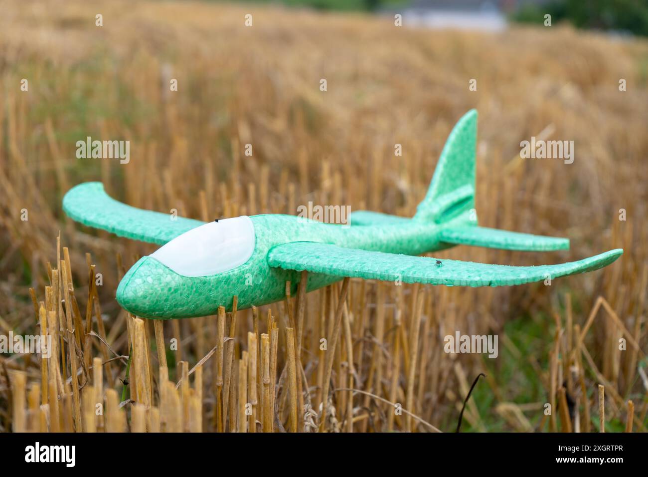 baby toy airplane with Styrofoam on a beveled wheat field Stock Photo ...
