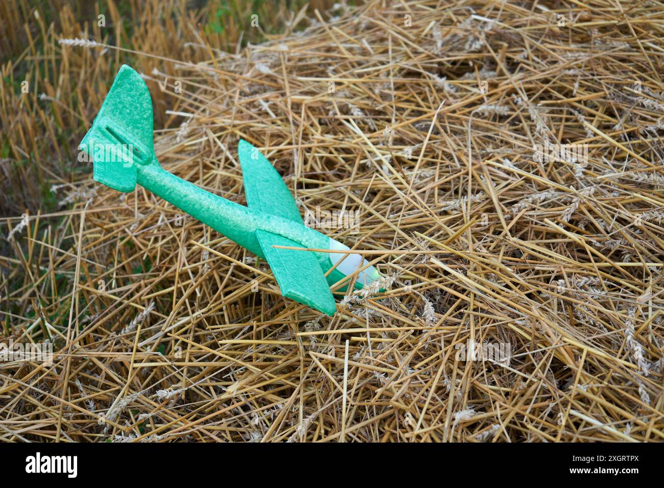 landing of a toy airplane on a field in straw Stock Photo - Alamy