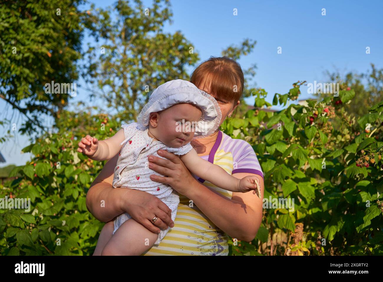 baby in mom's arms in the garden near ripe raspberry bushes Stock Photo ...