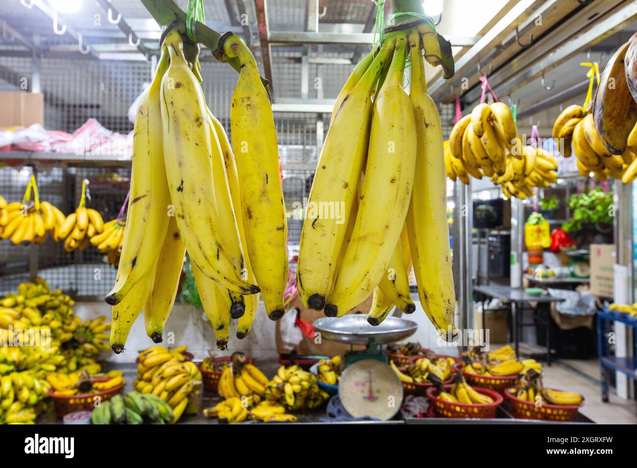 A stall vendor display varieties of banana fruit, plantain subgroup ...