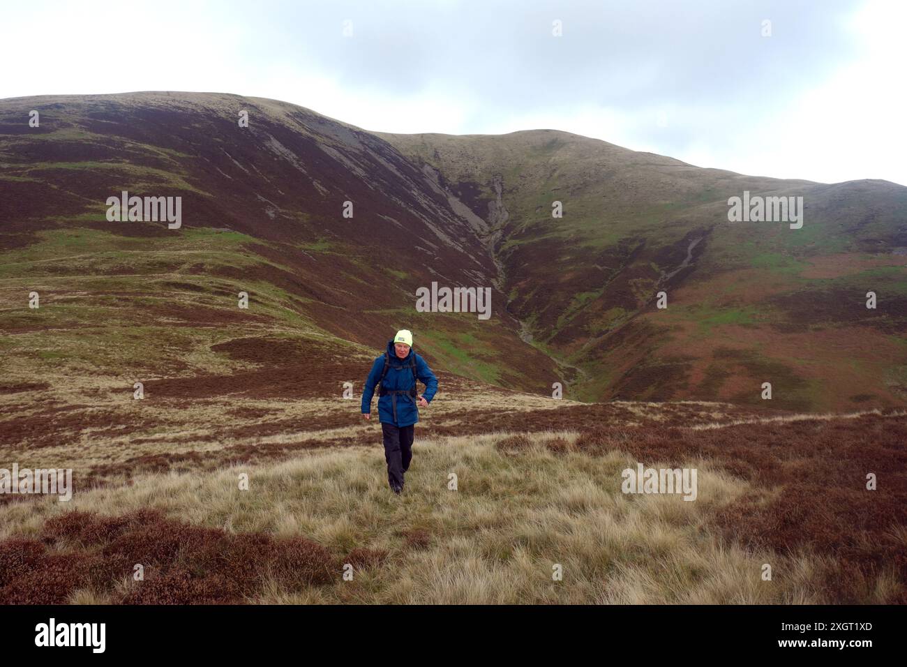 Head scar hi-res stock photography and images - Alamy