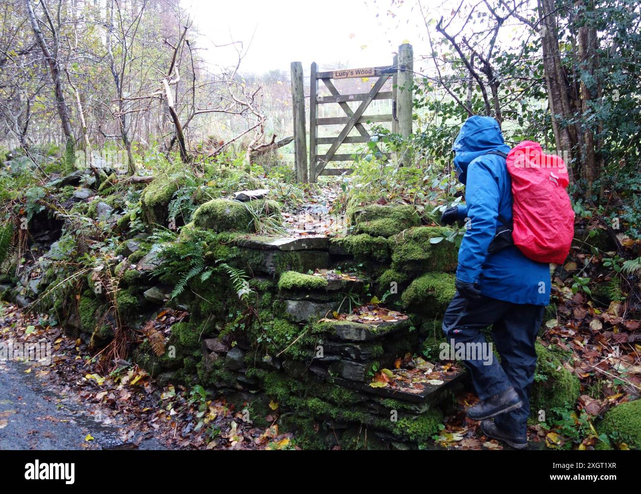 Lone Man Walking up Stone Steps to Wooden Gate to Lucy's Wood in the ...