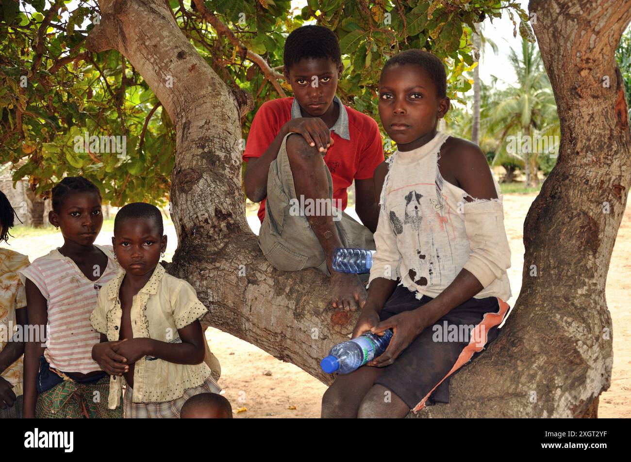 Ligogo children with tree boys, Ligogo, Inhambane, Mozambique Stock ...