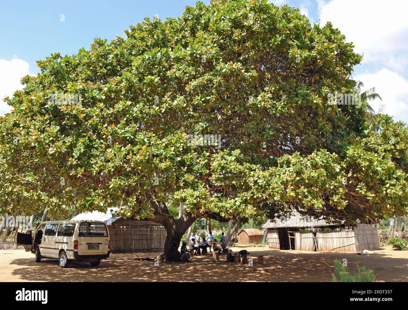 Cool spot for discussions hi-res stock photography and images - Alamy