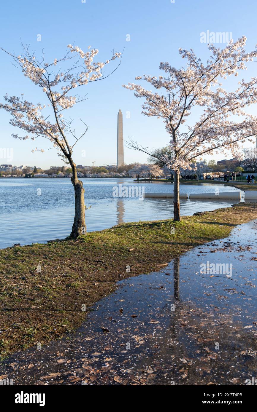 Tidal basin seawall project hi-res stock photography and images - Alamy