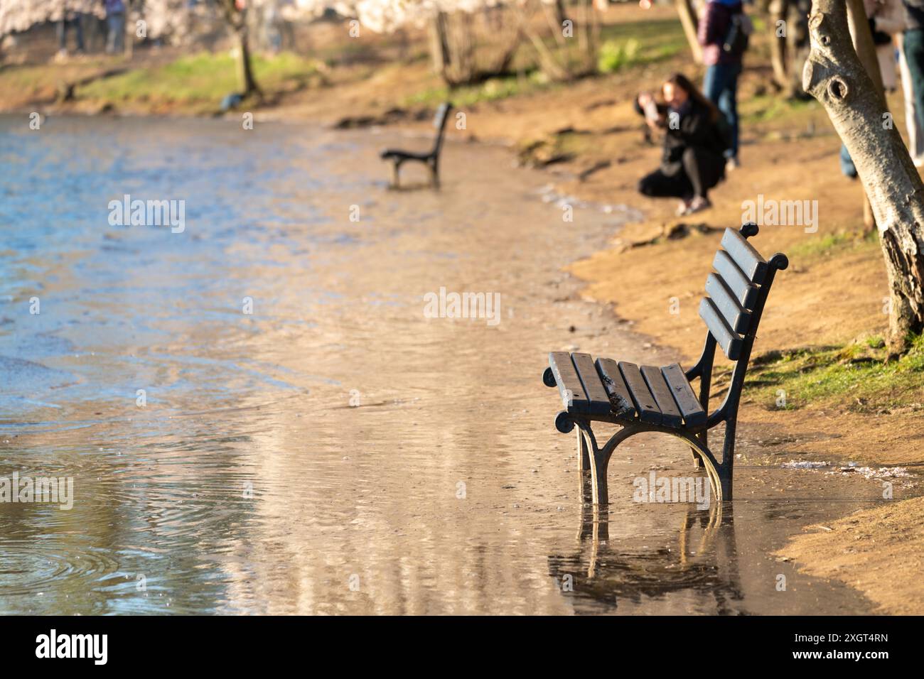 Underwater bench in flooded pathways around the tidal basin in ...