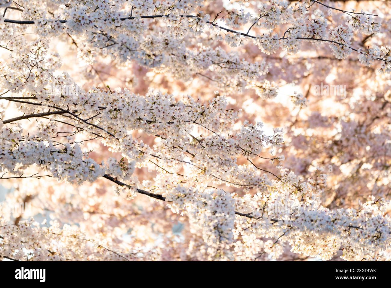 Water fill the frame hi-res stock photography and images - Alamy