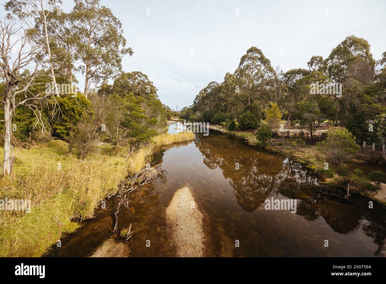Hotel cann river hi-res stock photography and images - Alamy
