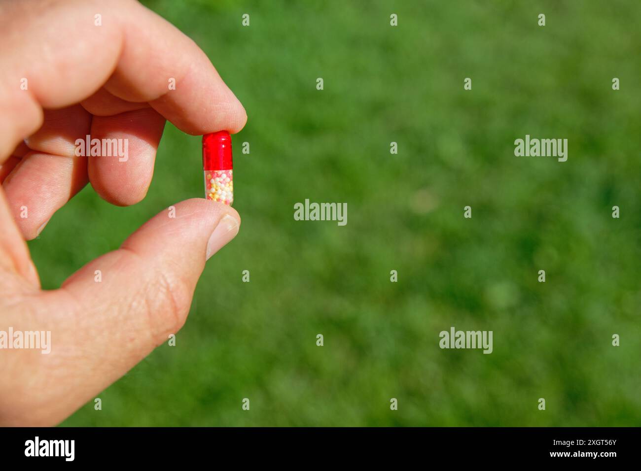 Medicinal capsule in the hand on the green grass background. Selective ...