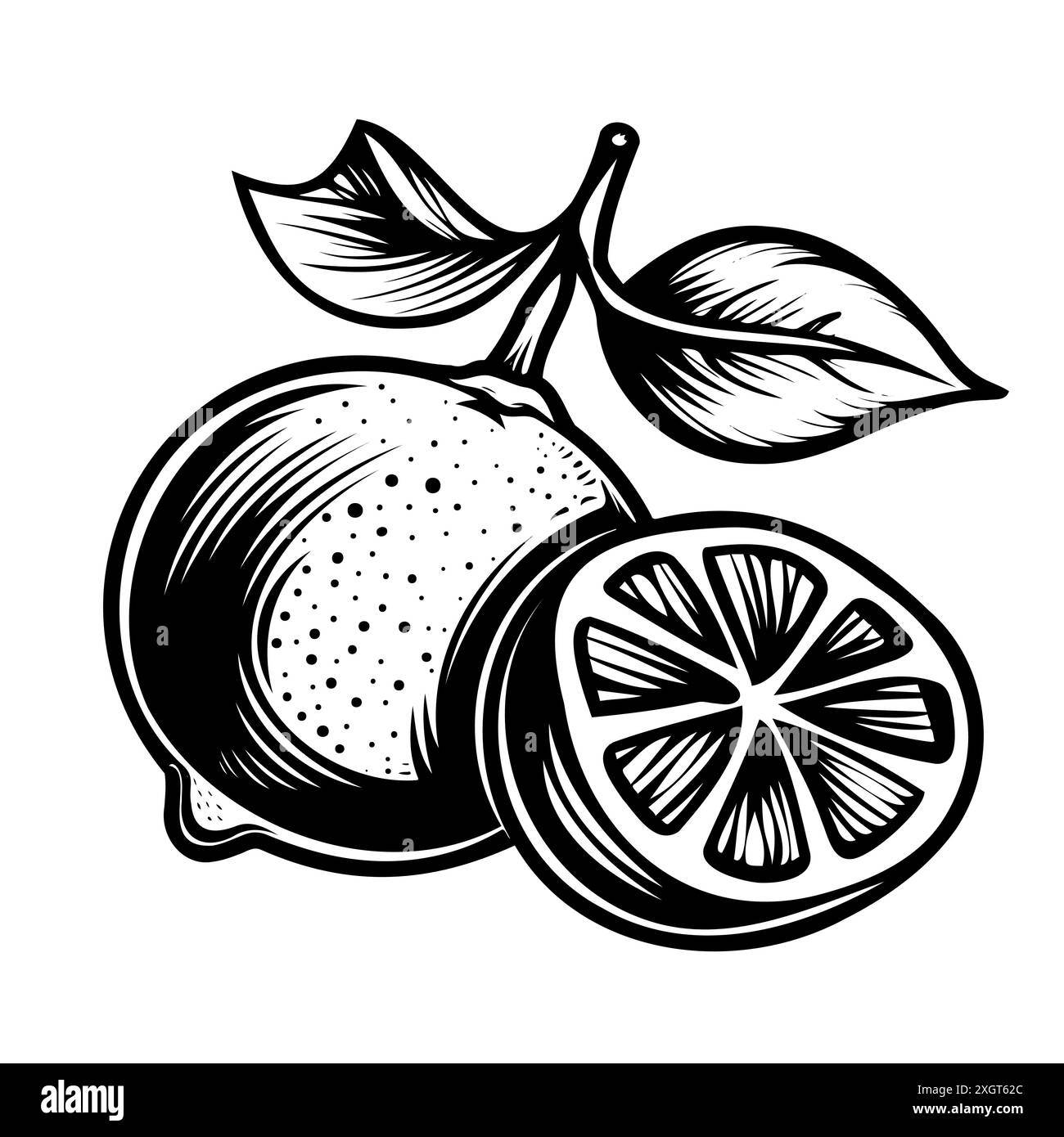 Lemon Vector Black And White Stock Vektorgrafik „Lemon Icon Isolated