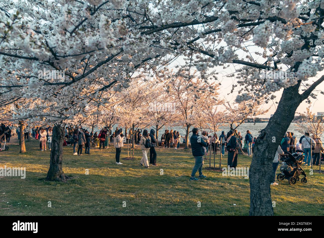 Washington, DC - March 21, 2024: Crowds of tourists walk around the ...