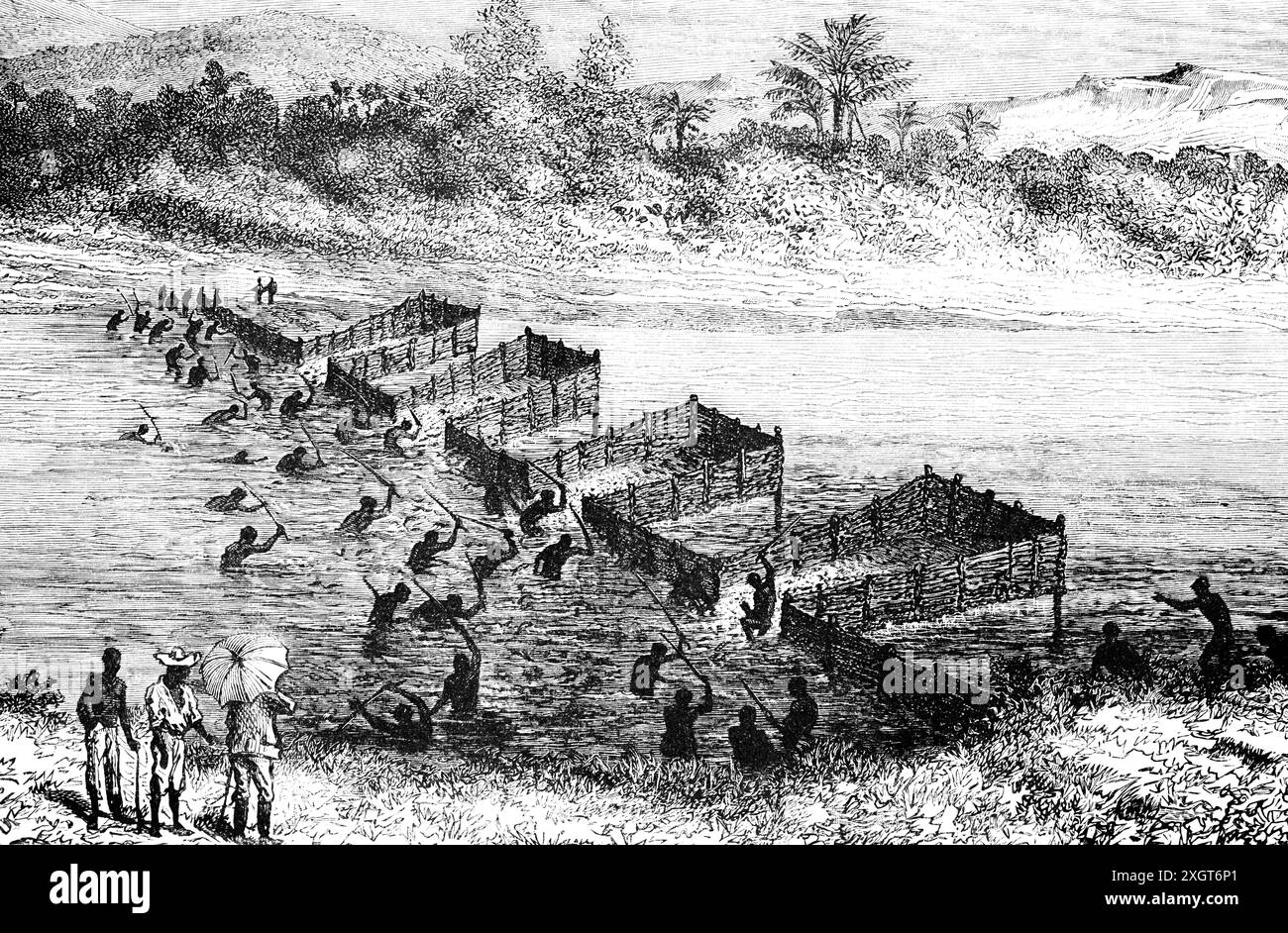 Fishing in a river close to the Atlantic Ocean, Togo, Africa,historic ...