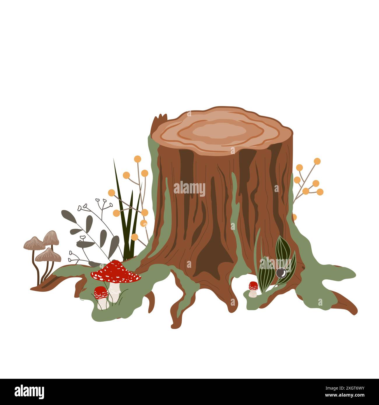 An old stump with fly agaric mushrooms and forest plants. Vector ...