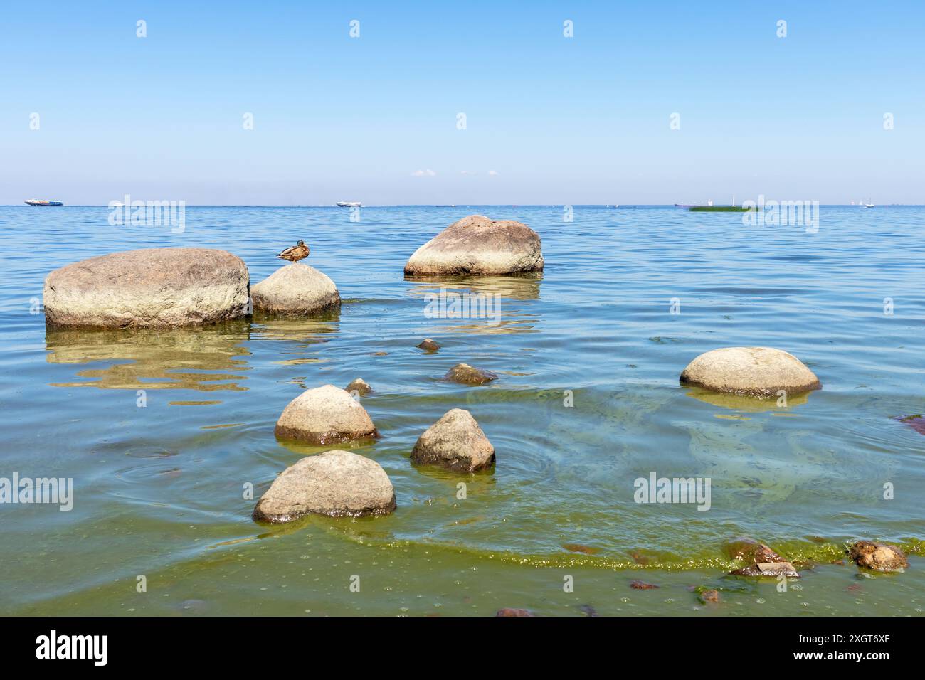 Basking on the rocks hi-res stock photography and images - Alamy