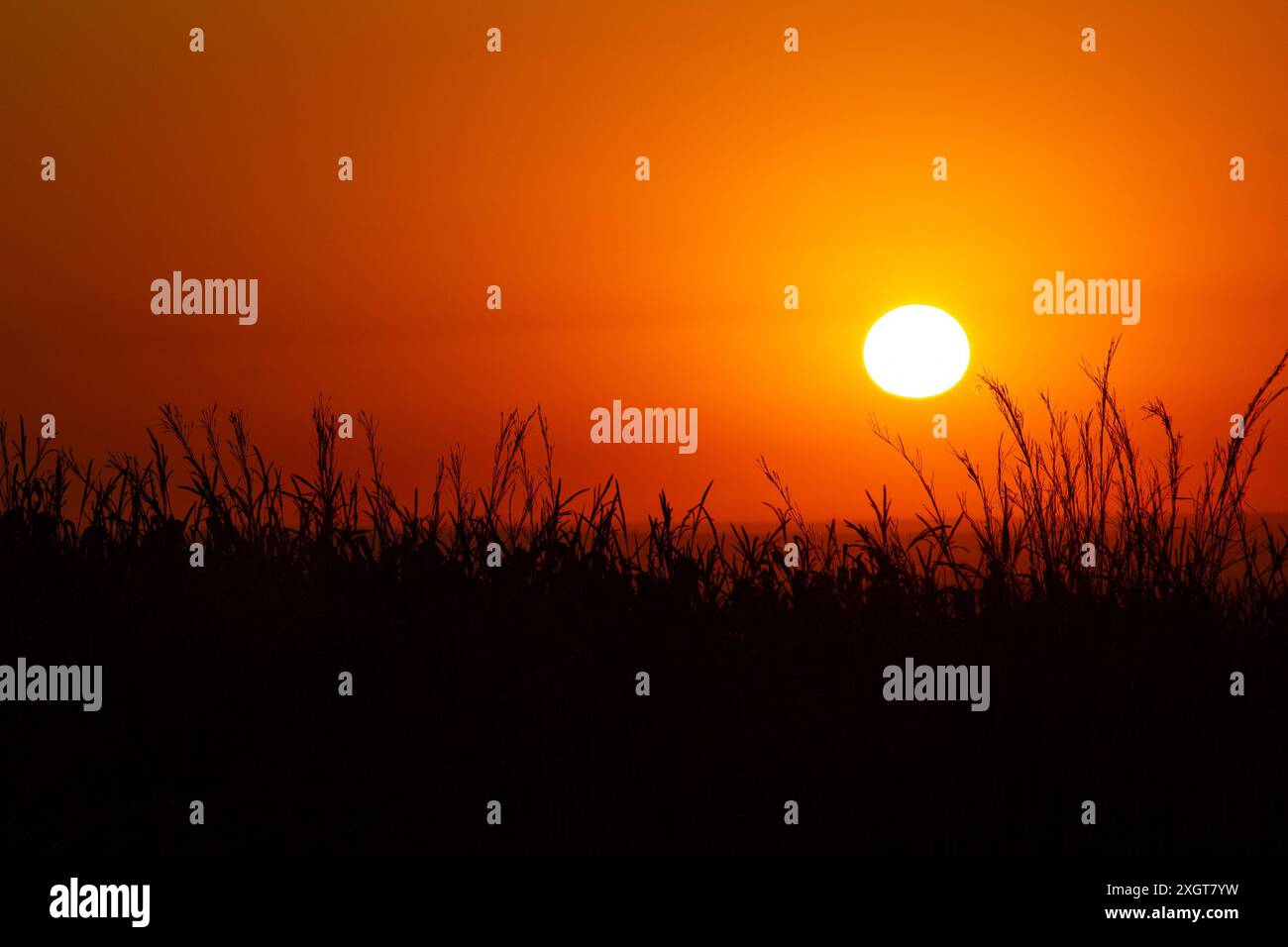 Catalão, Goias, Brazil – June 12, 2024: The sky Sunrise in the ...