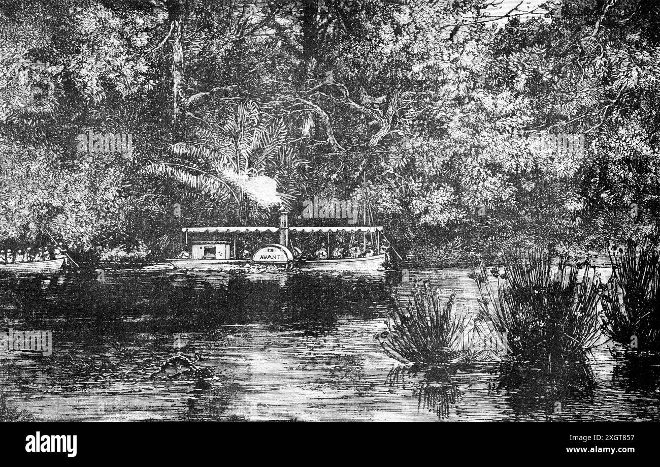 Boat tour in the jungle of Congo, former Zaire, Democratic Republic of ...