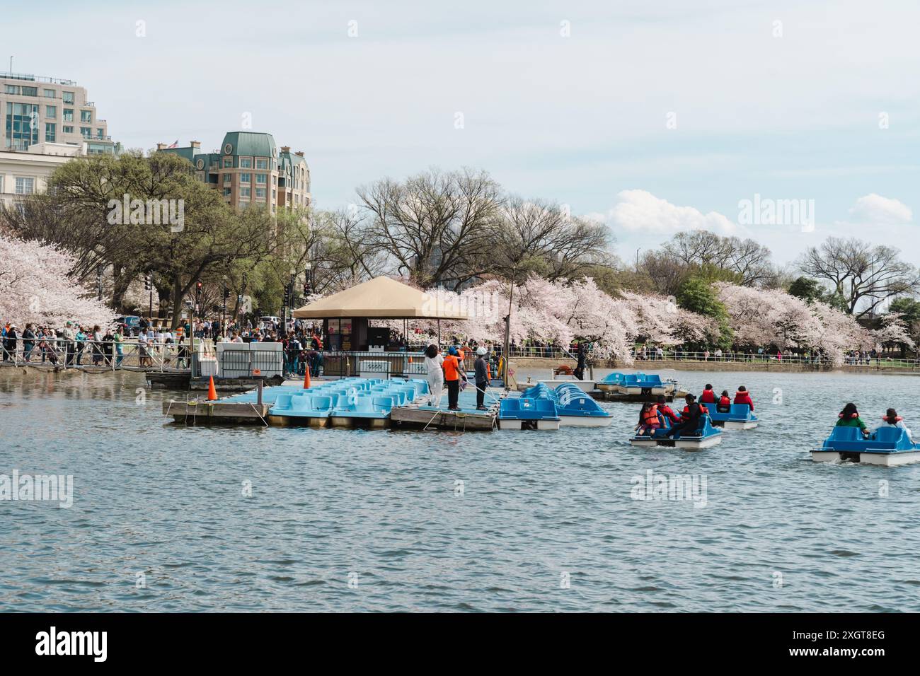 Washington, DC - March 17, 2024: Tidal basin rental paddleboats during ...
