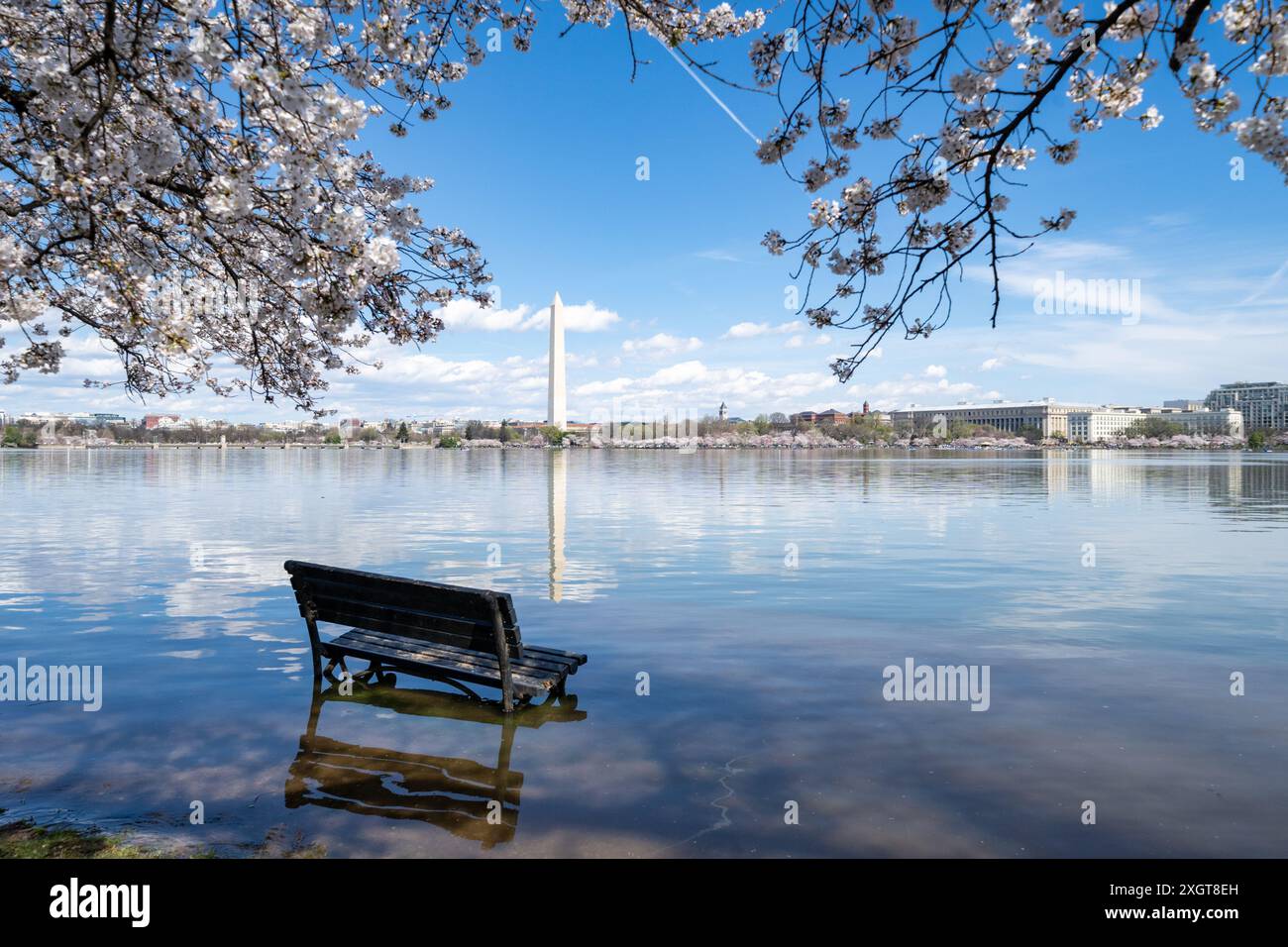 Bench at the tidal basin sits in flooded water. A new sea wall will be ...