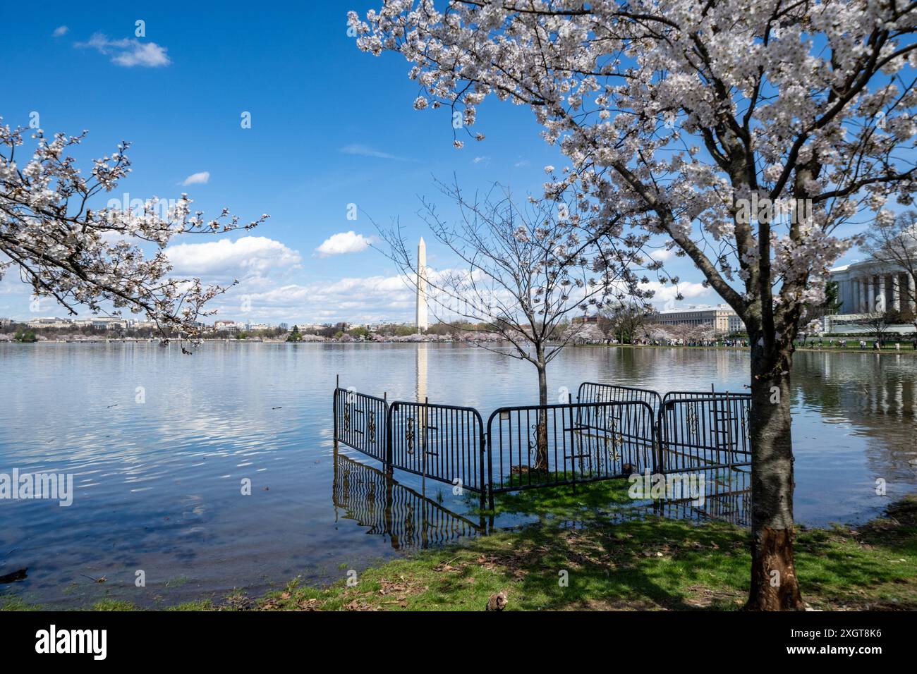 Tidal basin in flooded water. A new sea wall will be constructed to ...