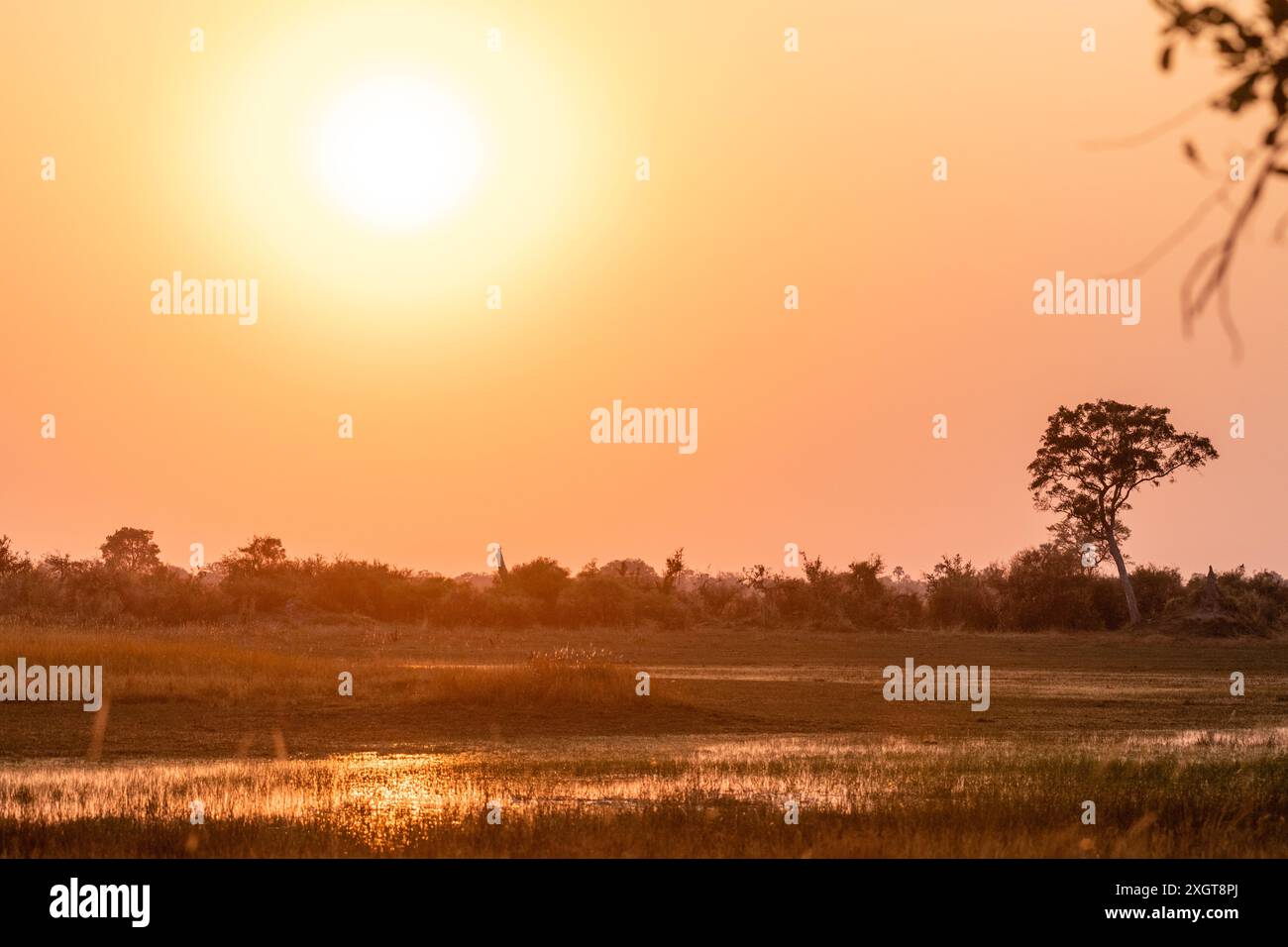 Wide angle shot of a beautiul sunset in the Okavango delta Stock Photo ...